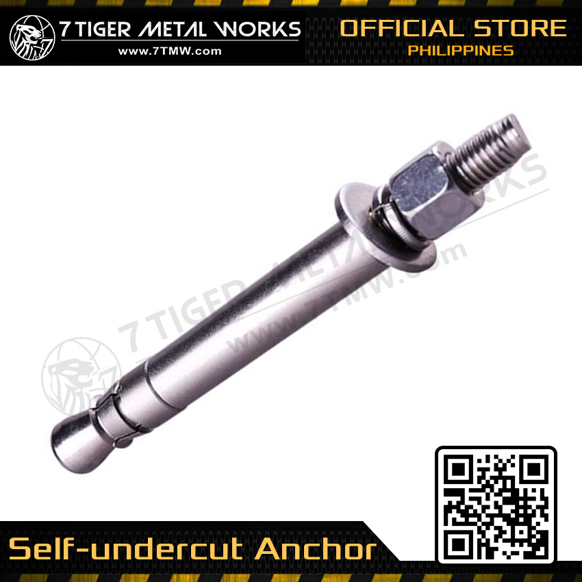 Gi Self Undercut Anchor - Bolt and Nut Supplier Philippines