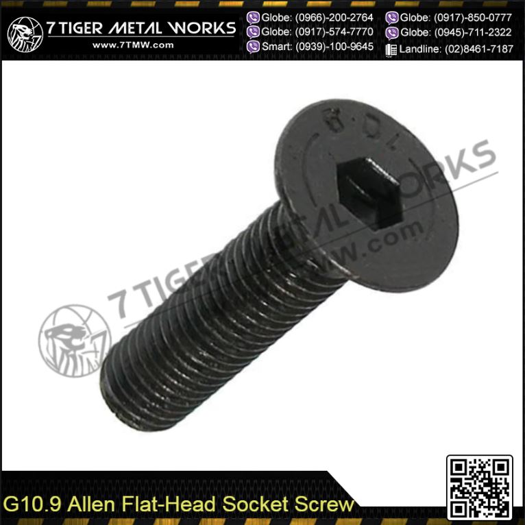 G10.9 Allen Flat-Head Socket Screw - Bolt and Nut Supplier Philippines
